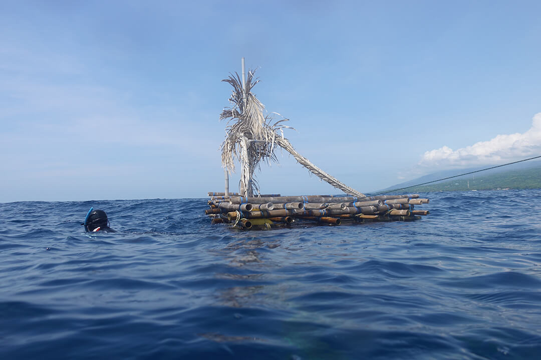 Services - Bali Spearfishing Charter